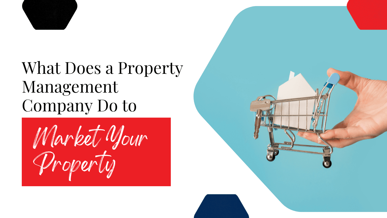 What Property Management Company Does to Market Property?
